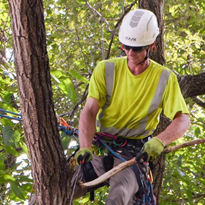 Wright Outdoor Solutions - Lawn, Tree & Landscape - Iowa