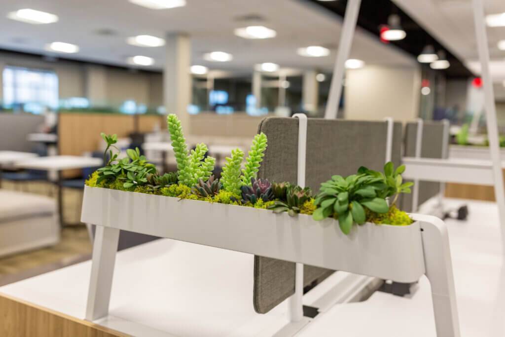 6 Indoor Plant Design Trends For Your Office | Wright Outdoor